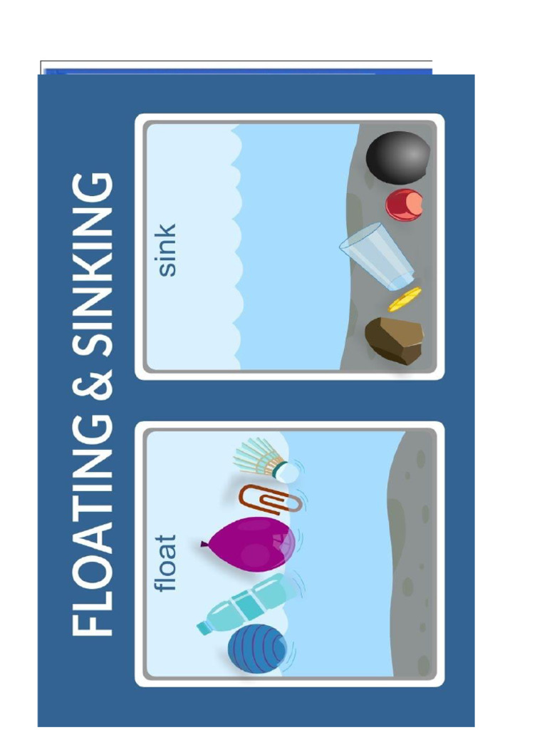 Float and Sink | PDF