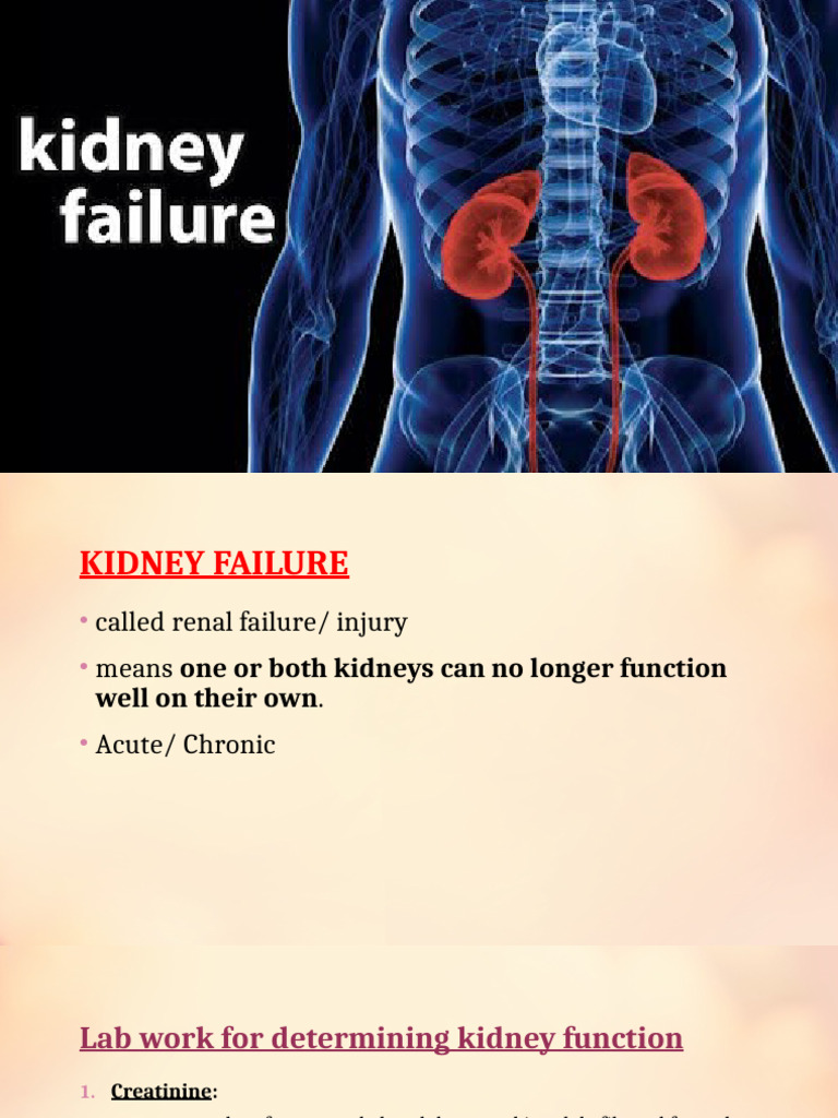 Renal Failure | PDF | Creatinine | Kidney