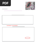 Peppered Moths Natural Selection Game | PDF