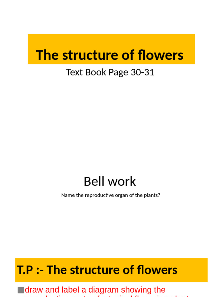 Flower Anatomy and Dissection Guide | PDF
