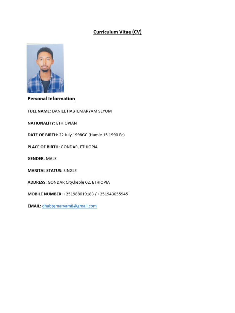 Ethiopian Engineer's CV | PDF