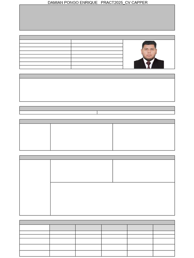CV Del CAPPER Documentado. | PDF | Perú | Educación más alta