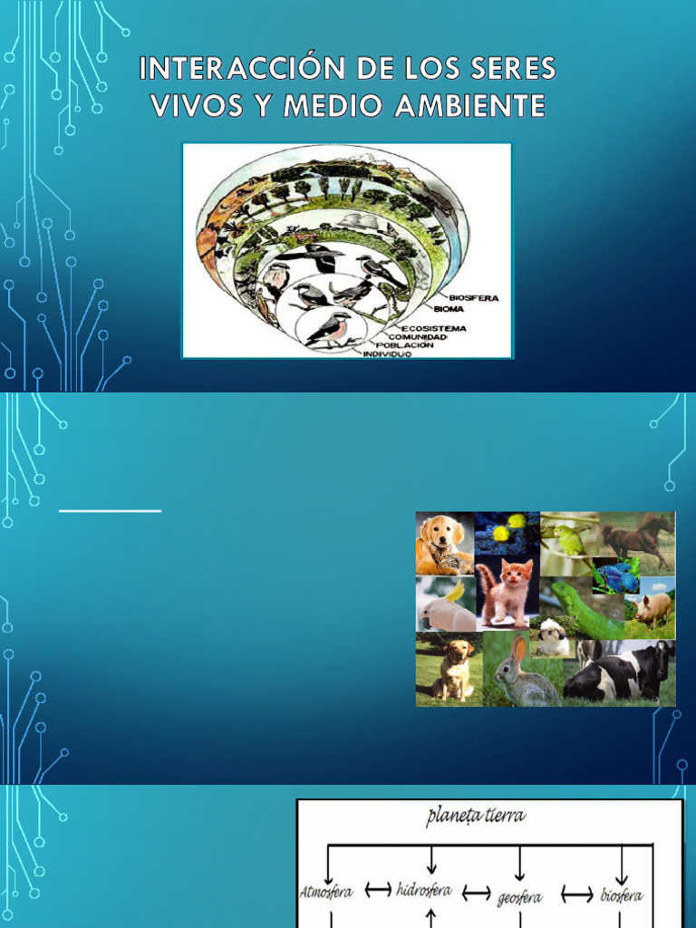 Inter Acci Ones | PDF | Organismos | Entorno natural