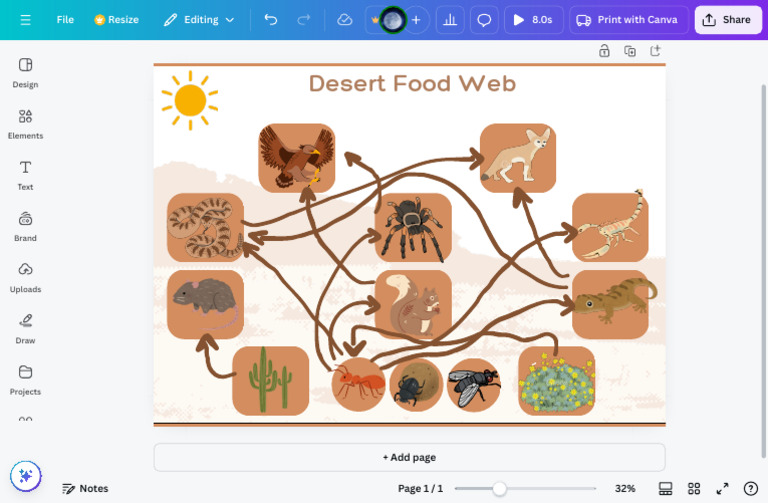 Desert Food Web Educational Science Poster in Yellow and Brown Lined ...