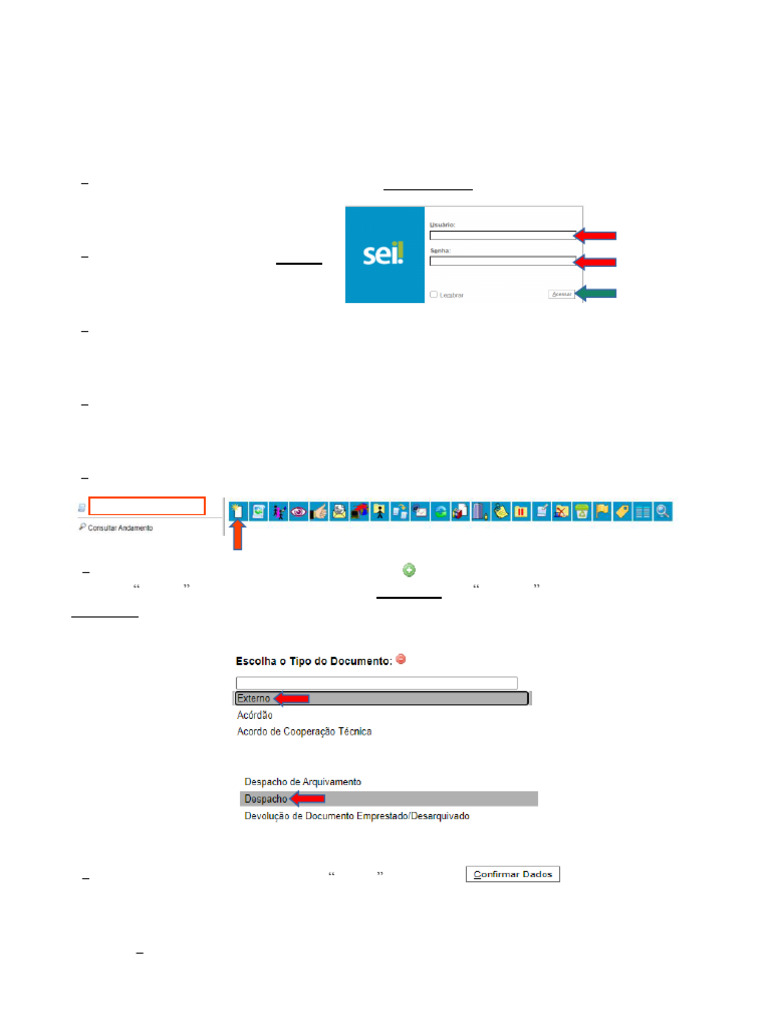 Inclusao de Despacho Ou Documento Nos Processos SEI | PDF | Documento | Senha