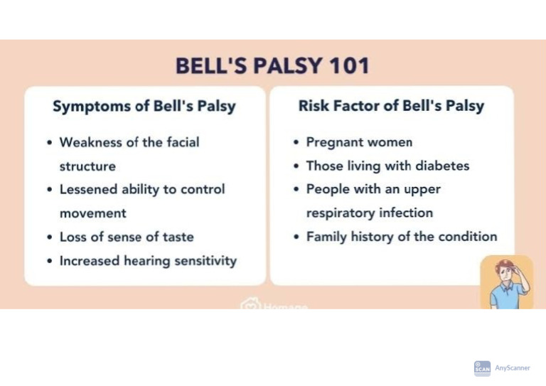 Bell's Palsy | PDF