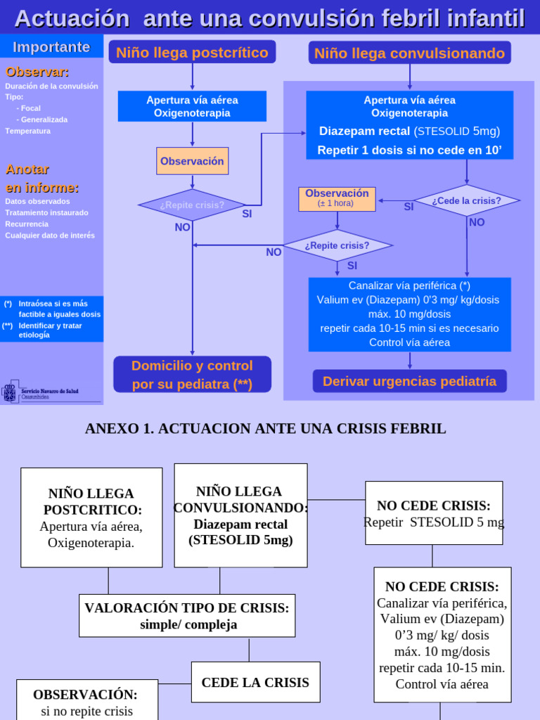 Poster Convulsión Febril - 1 | PDF | Enfermedades y trastornos humanos ...