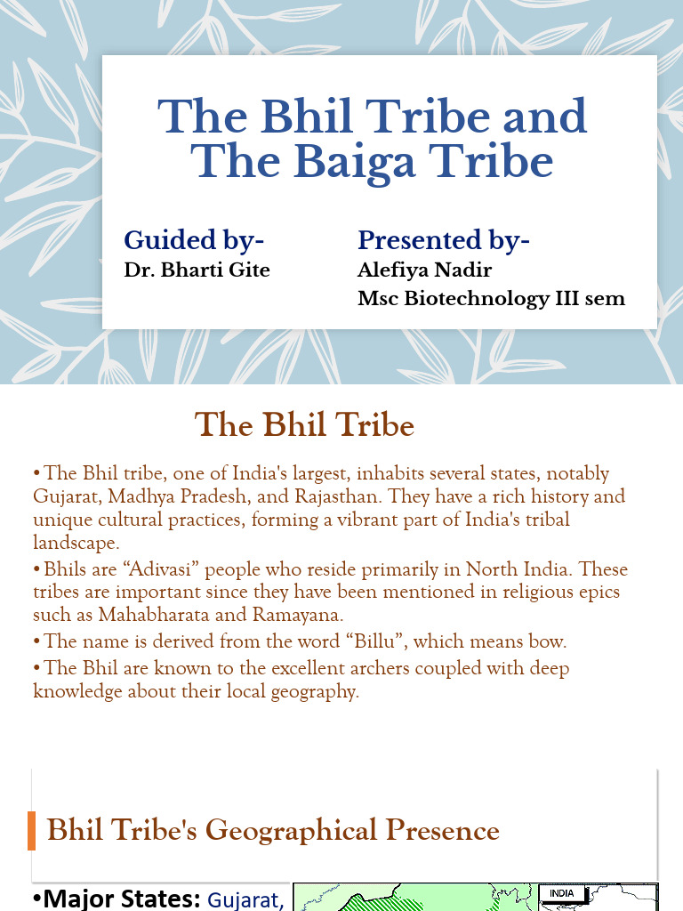 The Bhil Tribe A Cultural Tapestry | PDF