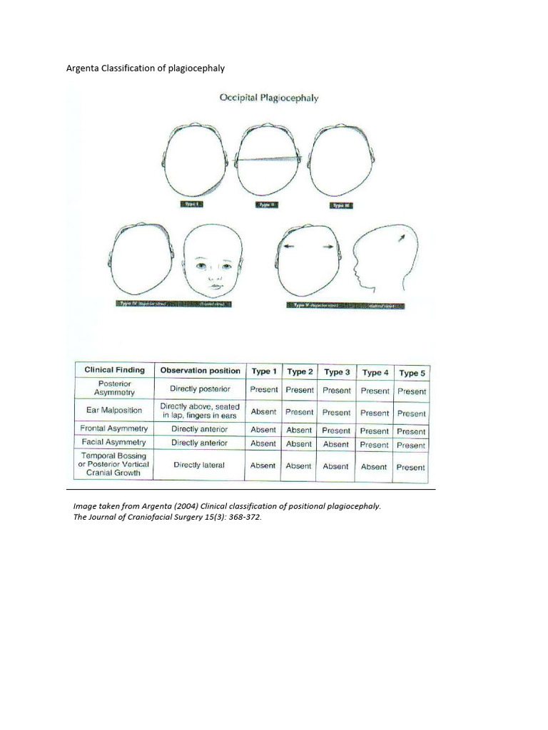 Argenta Classification | PDF