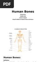 206 Human Bones Detailed Chart | PDF