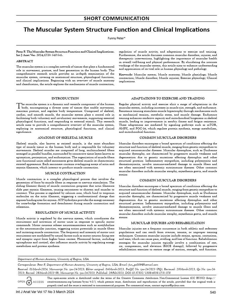 The Muscular System Structure Function and Clinical Implications | PDF ...