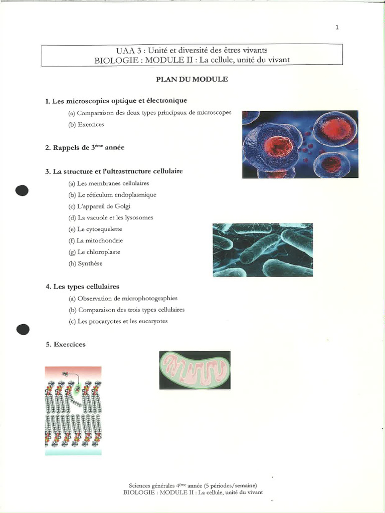 Cellule 1ère Partie | PDF