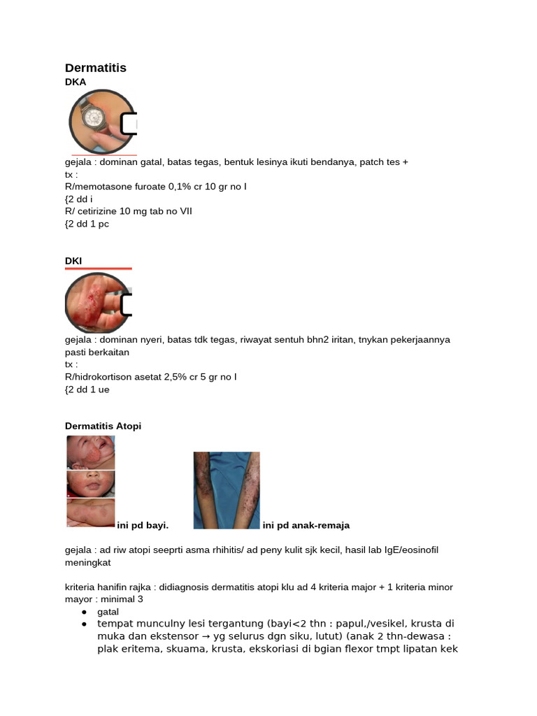 Materi Kulit Ringkas | PDF