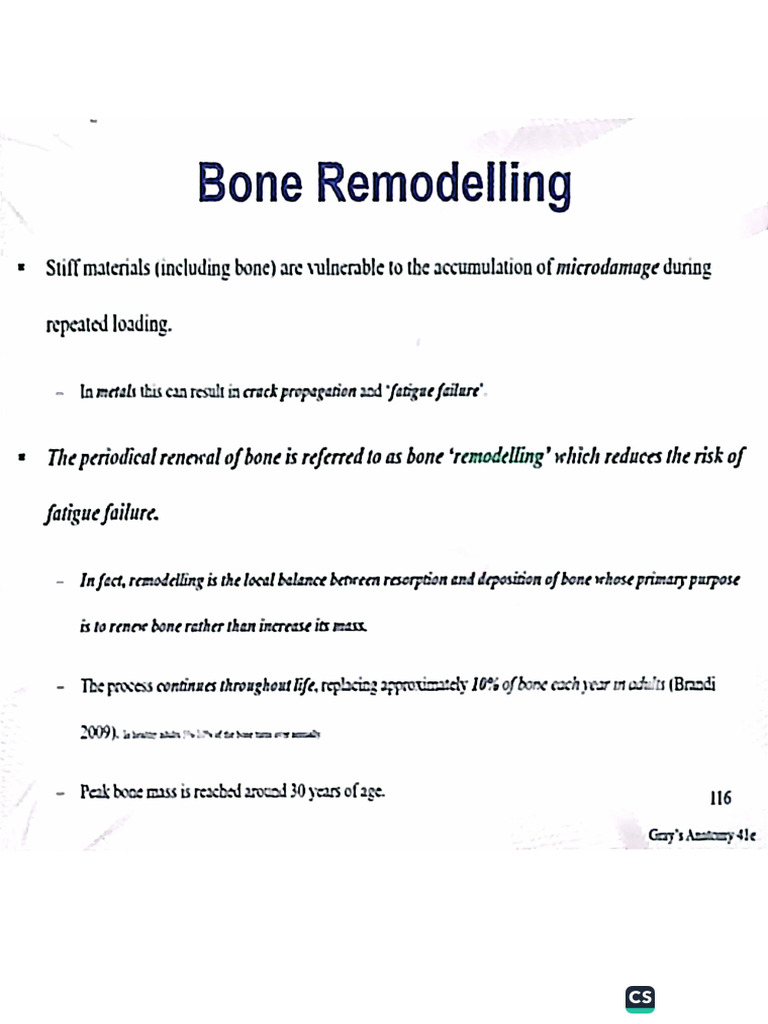 Bone Remodelling(Aman Sir)(SMC) | PDF
