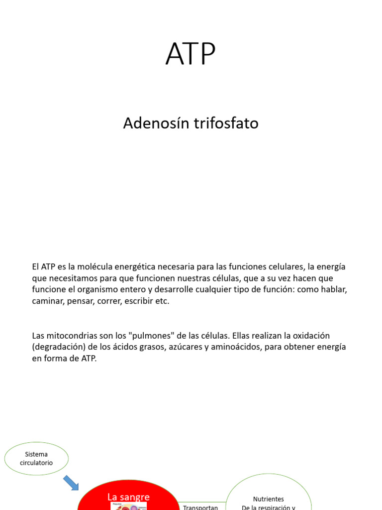 ATP | PDF