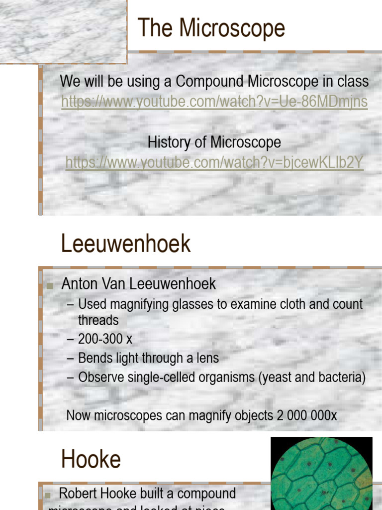 Microscope 24 | PDF | Microscope | Electromagnetic Radiation