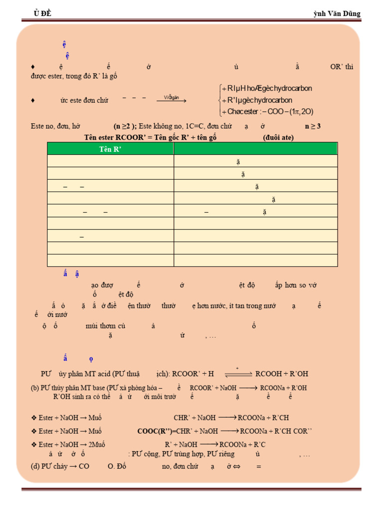 B1 - ESTER 12 Tin | PDF