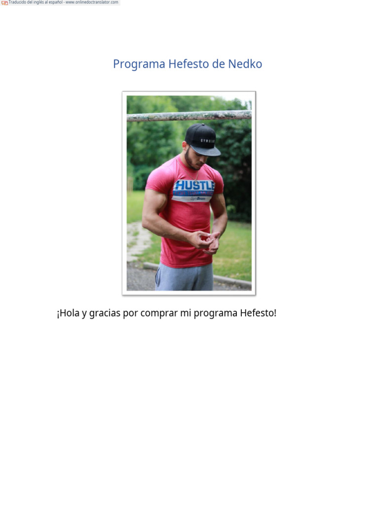 Nedko Hefesto Program Fc3ffa1a97.en - Es | PDF