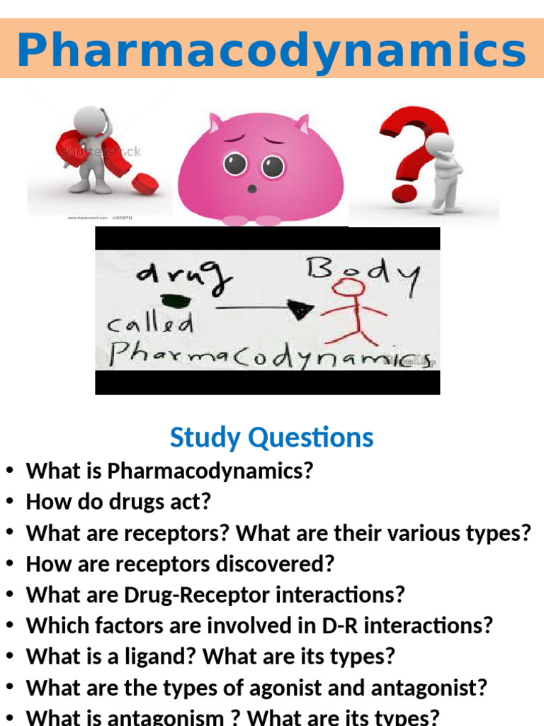 Pharmacodynamic I | PDF | Receptor Antagonist | Receptor (Biochemistry)