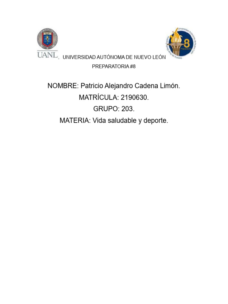 VSyD. Evidencia de Etapa 1. Reporte Escrito | PDF