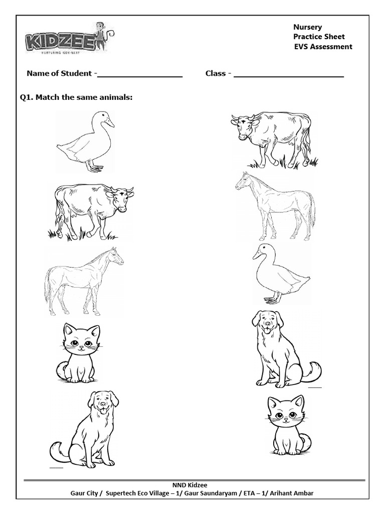 Nur EVS Practice c4 | PDF