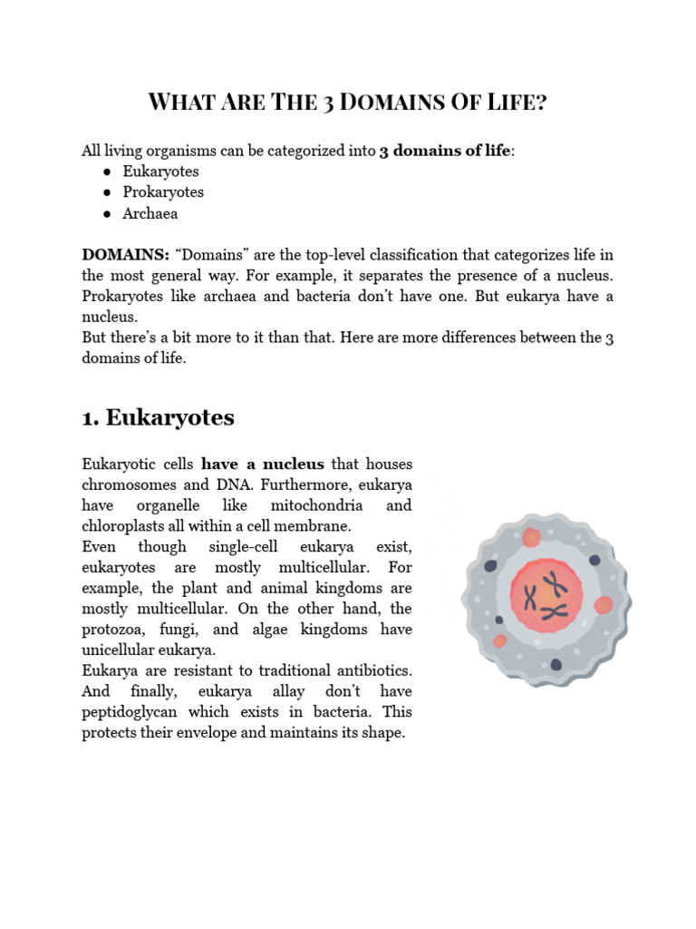 Understanding the 3 Domains of Life | PDF | Eukaryotes | Prokaryote