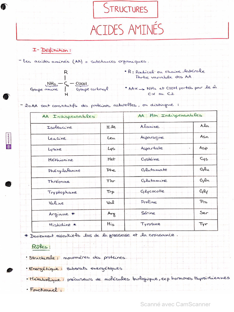 AA structure-enzymologie-métabolisme | PDF