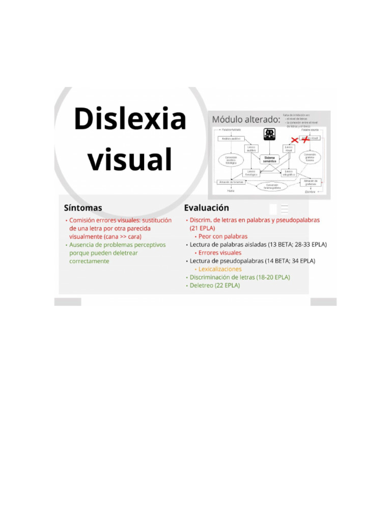 Visual Dislexia | PDF