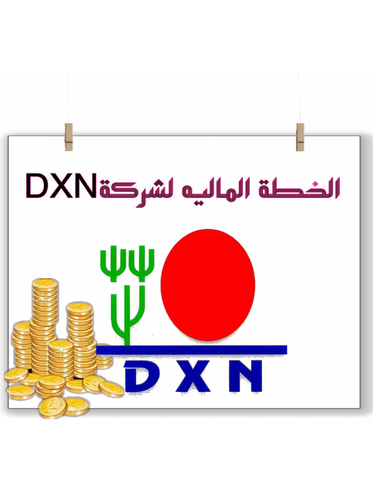 الخطة_الماليه_لـDXN_٢٠٢٠٠٥٠٨٠١٣٣٤٢_pdf | PDF