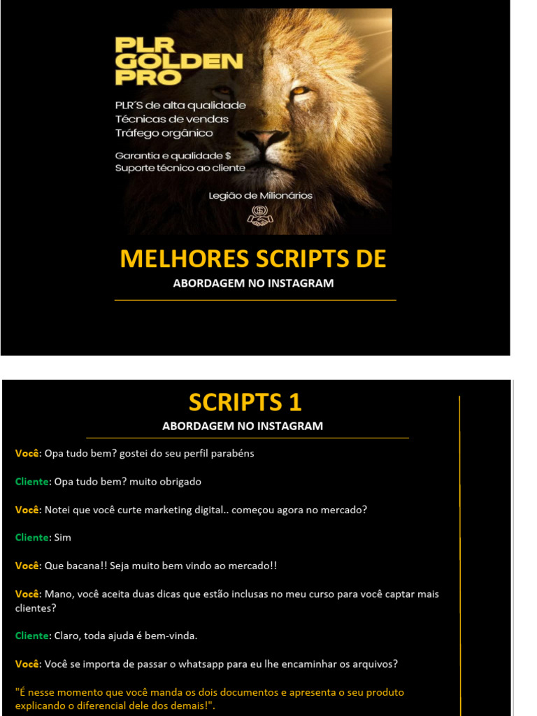 Melhores Scripts de Abordagem | PDF | Marketing
