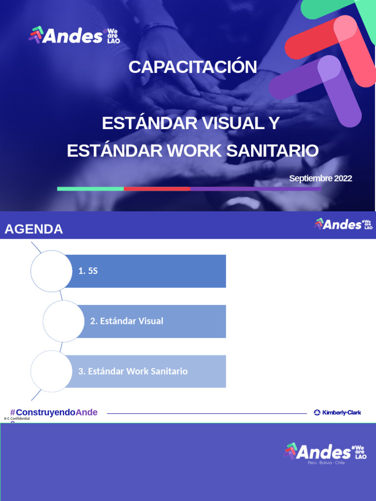 Guía de 5S y Estándares Visuales | PDF