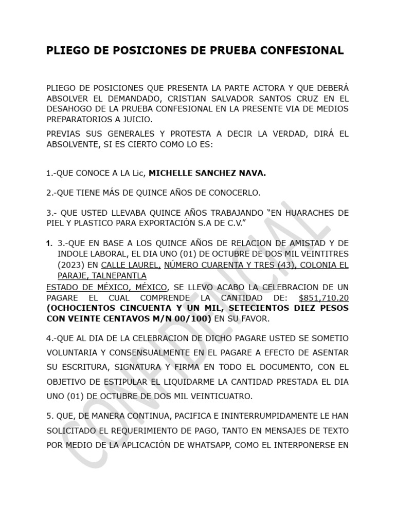 Pliego de Posiciones de MICHELLE MPAJ | PDF