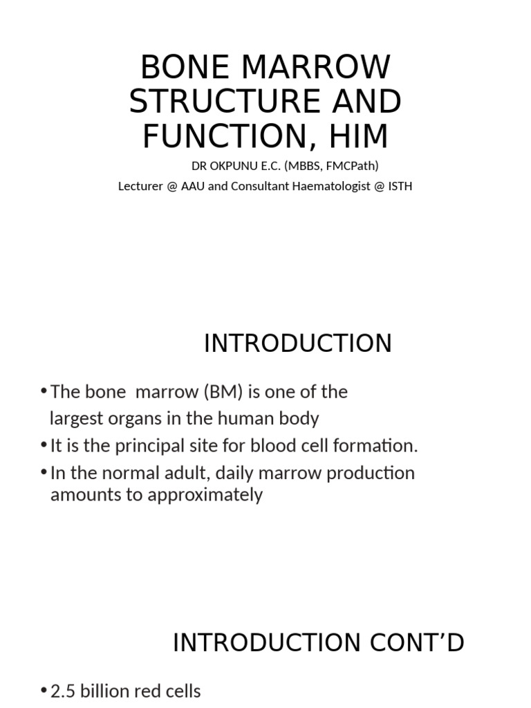 Bone Marrow Structure, Function and Him (Autosaved) | PDF ...