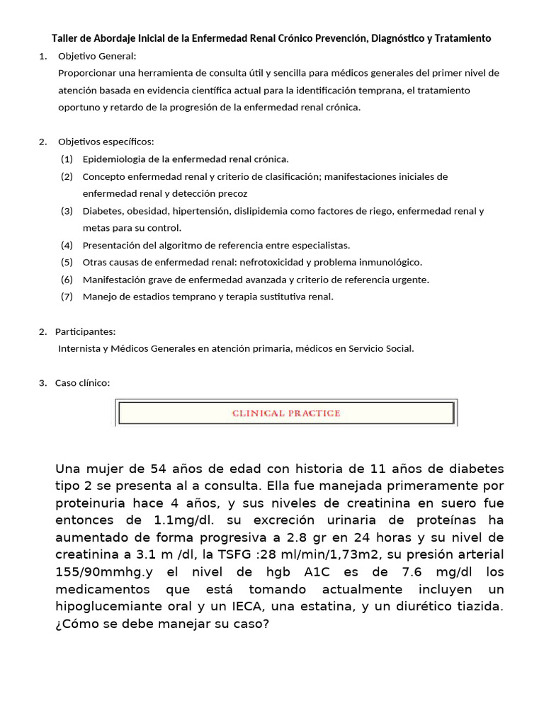 Programa de Taller de ERC Diagnostico y tratamiento-SILAIS Managua | PDF | Enfermedad renal ...