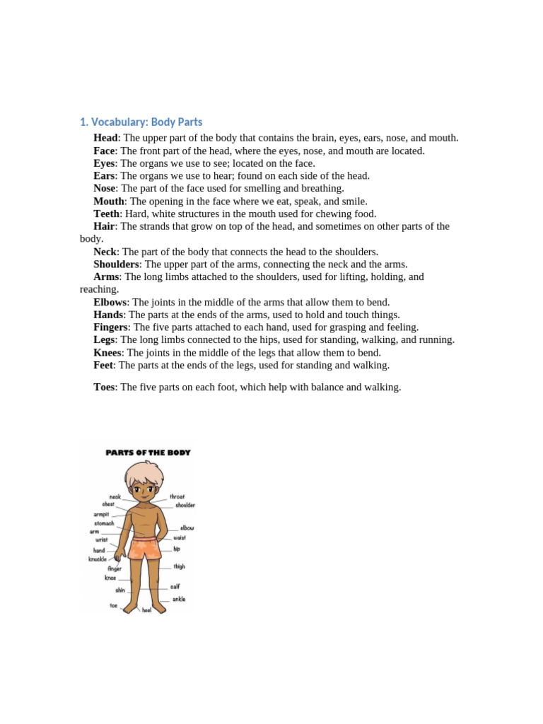 Describing People Lesson Plan | PDF | Noun | Linguistic Morphology