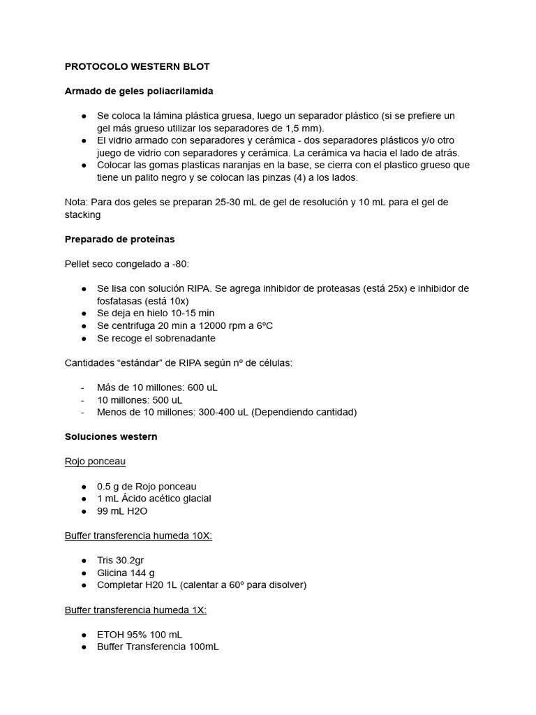 PROTOCOLO WESTERN BLOT HSA.docx | PDF | Biología Molecular | Técnicas de laboratorio.