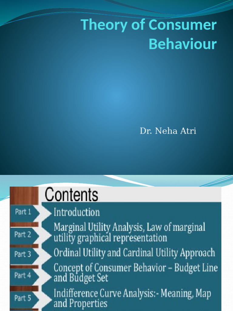 Theory of Consumer Behaviour | PDF