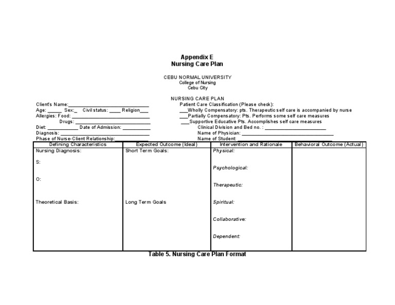 Nursing Care Plan Guide | PDF