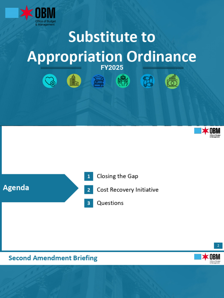 Budget briefing | PDF