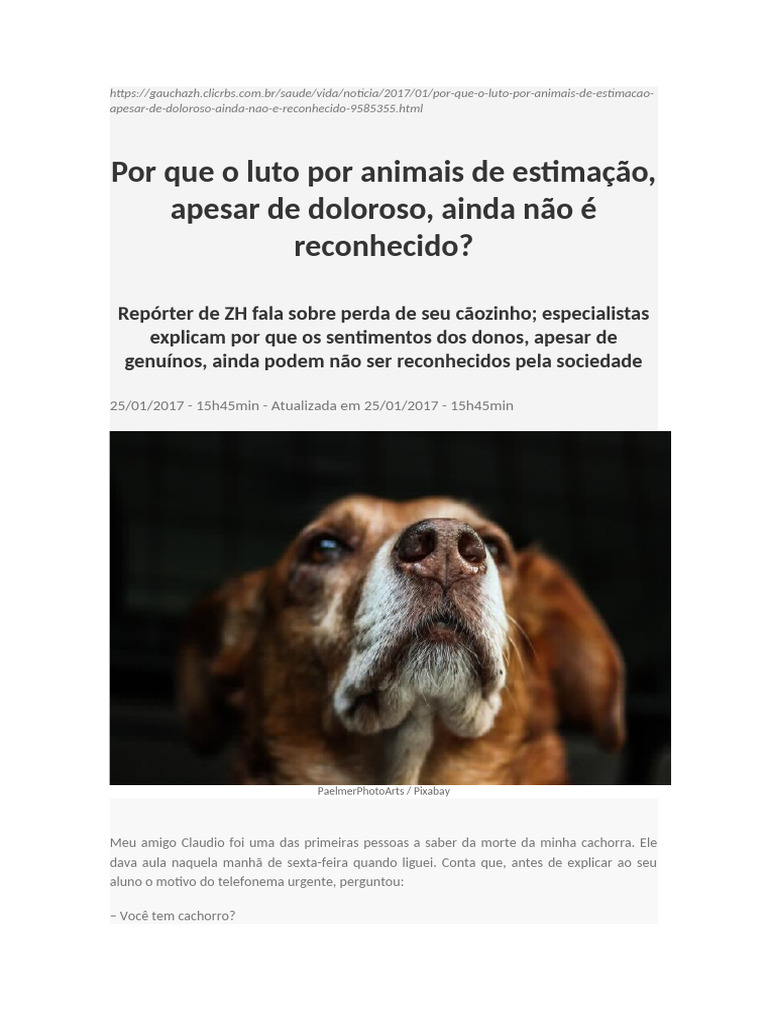 (Paula Minozzo) Por Que o Luto Por Animais de Estimação, Apesar de ...