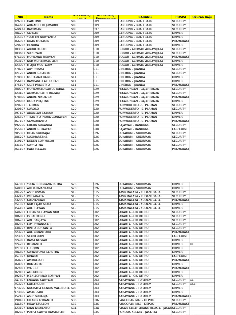 List Kertas Kerja - Data Detail Karyawan Alih Daya BNS | PDF