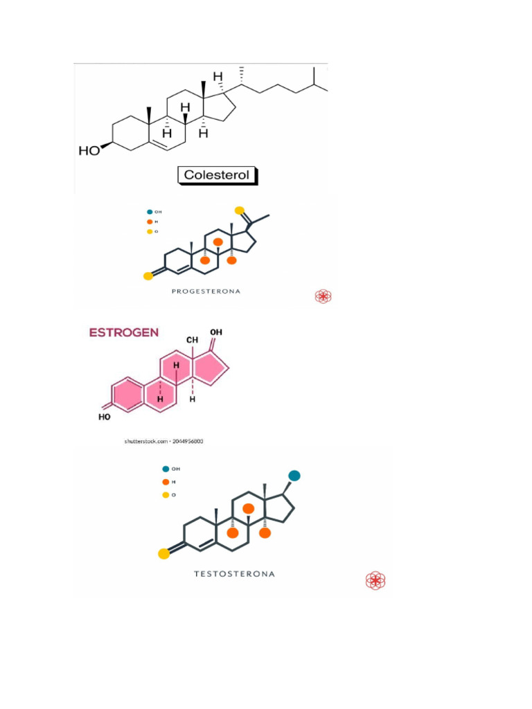 Moleculas | PDF