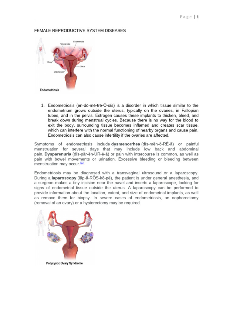 Science-Reproductive-of-Female | PDF | Polycystic Ovary Syndrome ...
