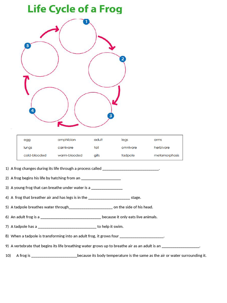 Life cycle of a frog | PDF