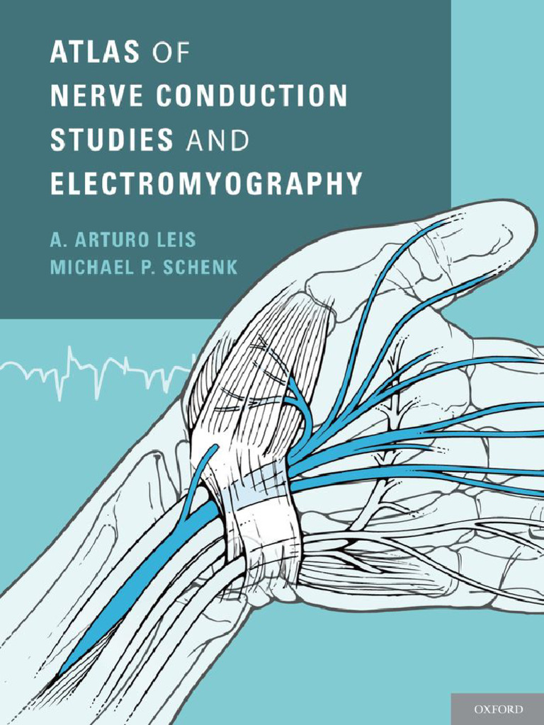 Nerve Conduction Studies Atlas | PDF | Thumb | Axon