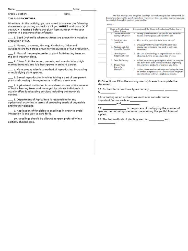1ST Qtr-Tle 6 Week 3 Work Sheet | PDF