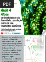 Aula Teórica - Algas Verdes | PDF | Eucariotas | Biologia