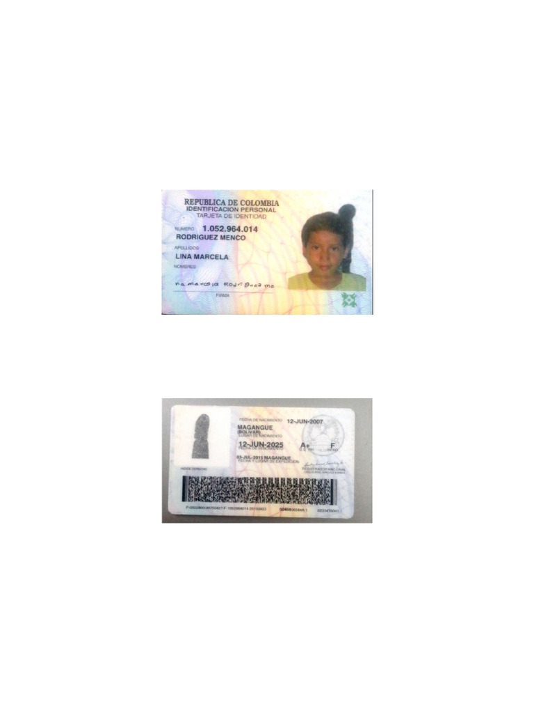 IdCard 202407201100 | PDF