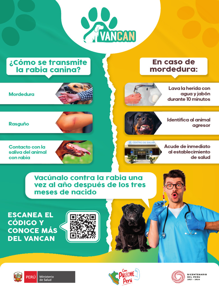 Afiche A3 - Van Can | PDF