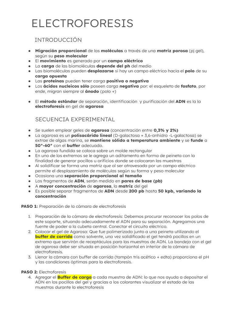ELECTROFORESIS | PDF | Electroforesis | Electroforesis en gel de agarosa